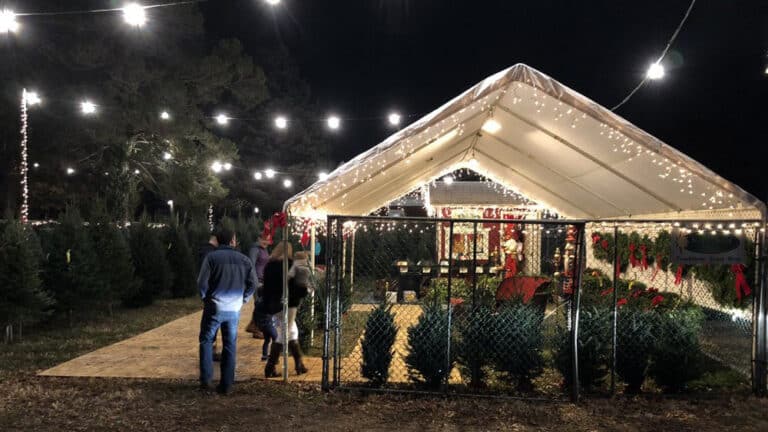 Lot Locations - North Star Christmas Trees